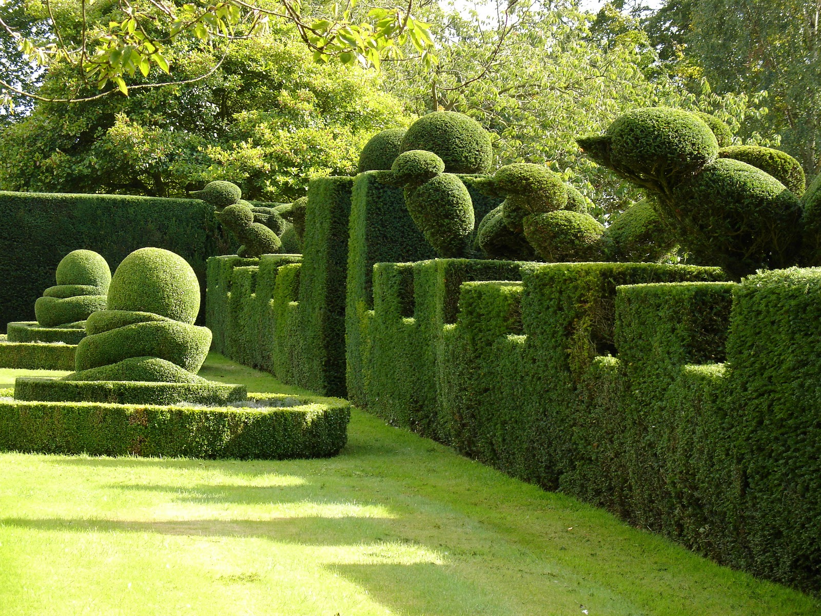 Topiary