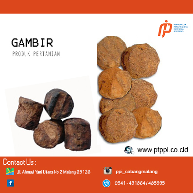 Tanaman Gambir, Kegunaan Tanaman Gambir, 0341-491864