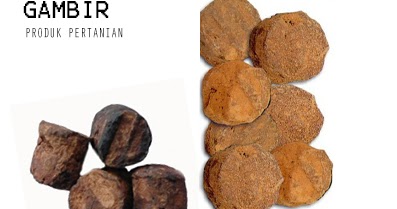 Tanaman Gambir, Kegunaan Tanaman Gambir, 0341-491864