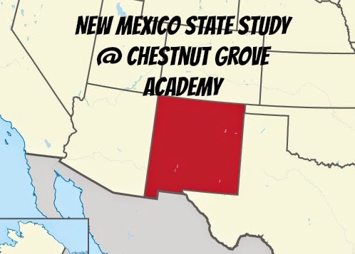 Chestnut Grove Academy: New Mexico State Study
