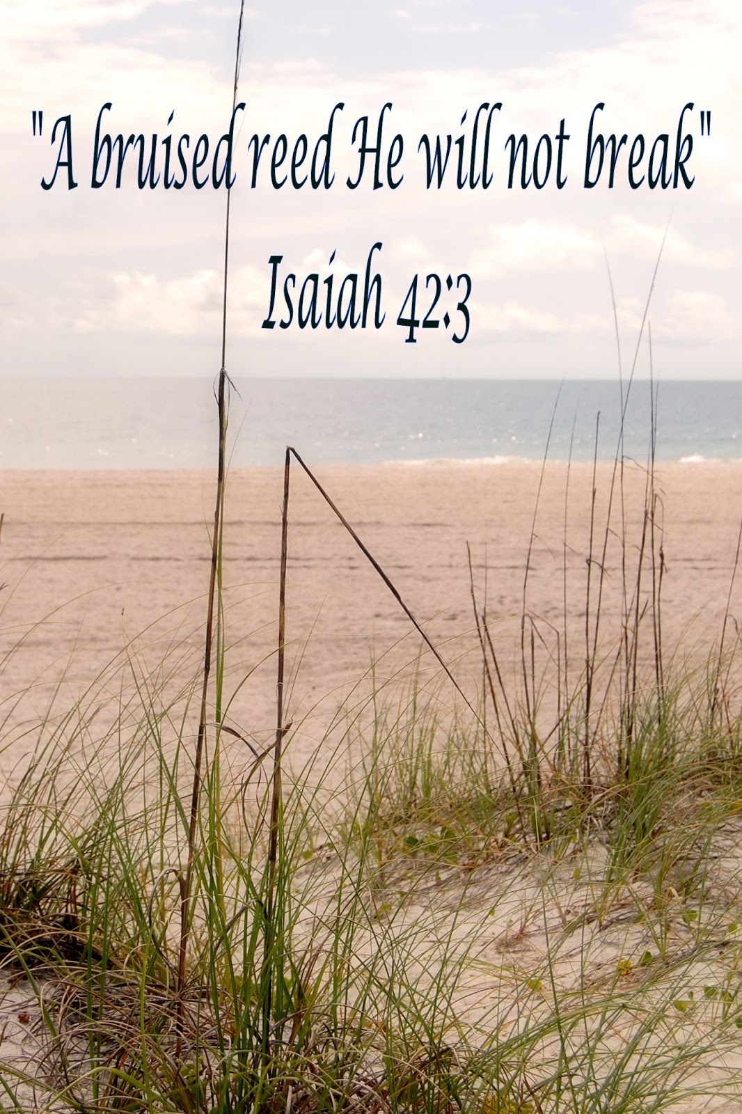 A Healing Bruised Reed: Bruised.