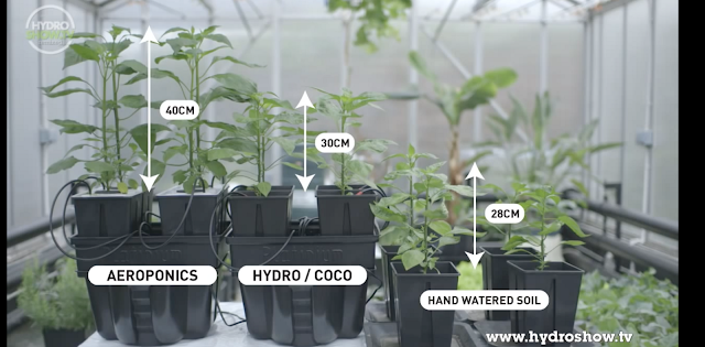 How to Make Your Own Aeroponics System - Farmer's Blog