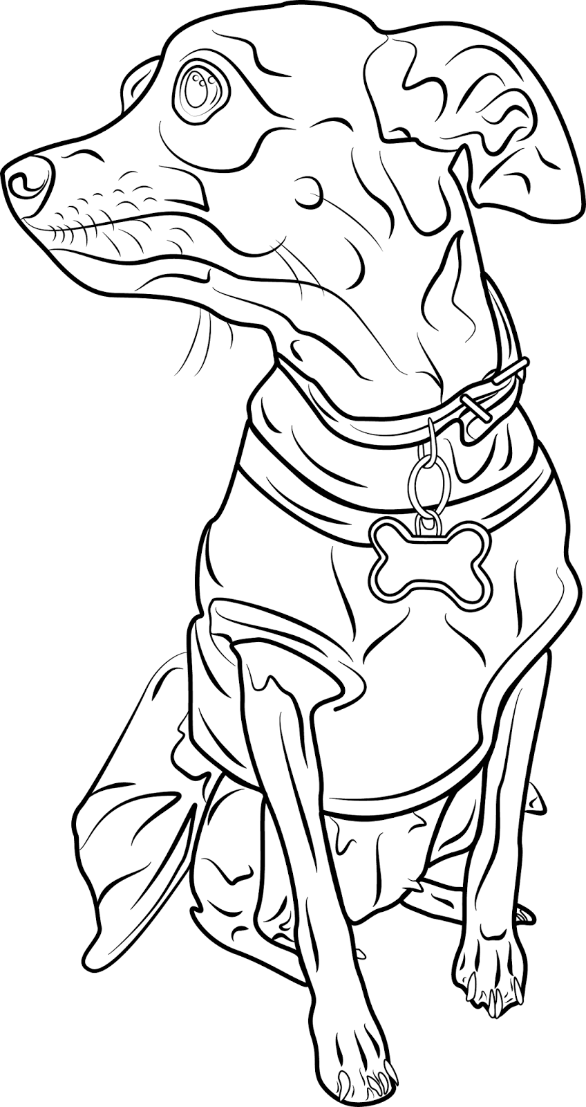 Sadie's coloring book