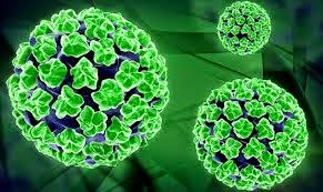 ICP: ¿Qué tanto sabes sobre el VPH?