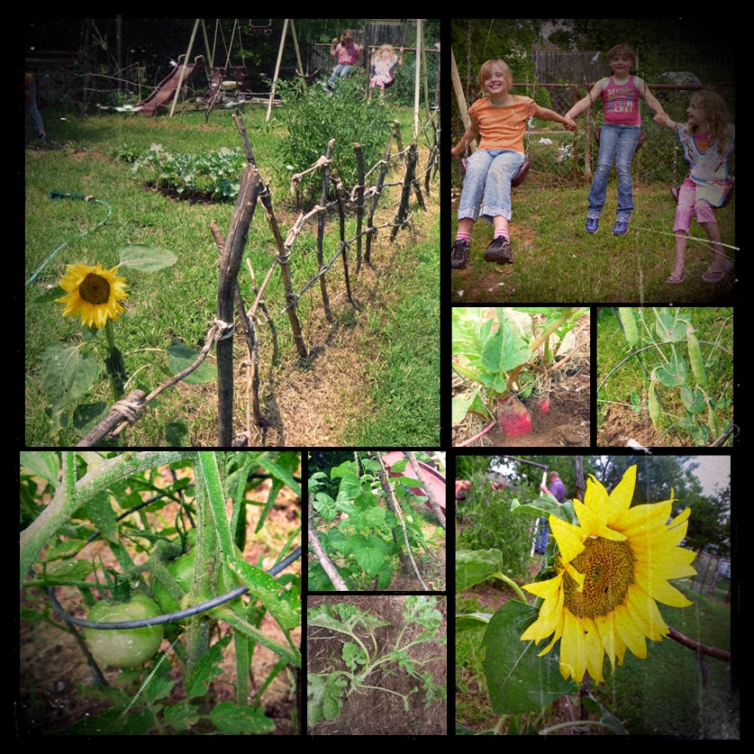 Home Grown Hearts Academy Homeschool Blog: Garden Unit Study