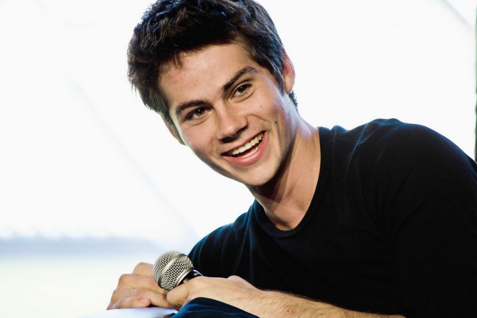 - All Natural & More: A Bunch of Dylans