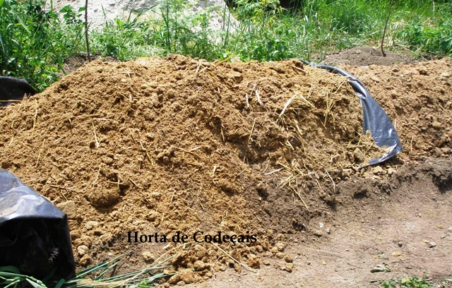 HORTA DE CODEÇAIS: Estrume de cavalo