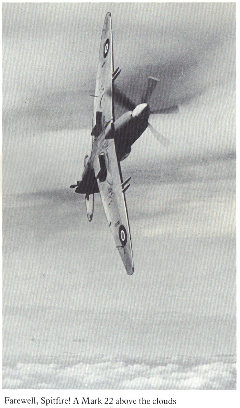 Progress is fine, but it's gone on for too long.: Spitfire Mark 22