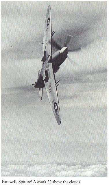 Progress is fine, but it's gone on for too long.: Spitfire Mark 22