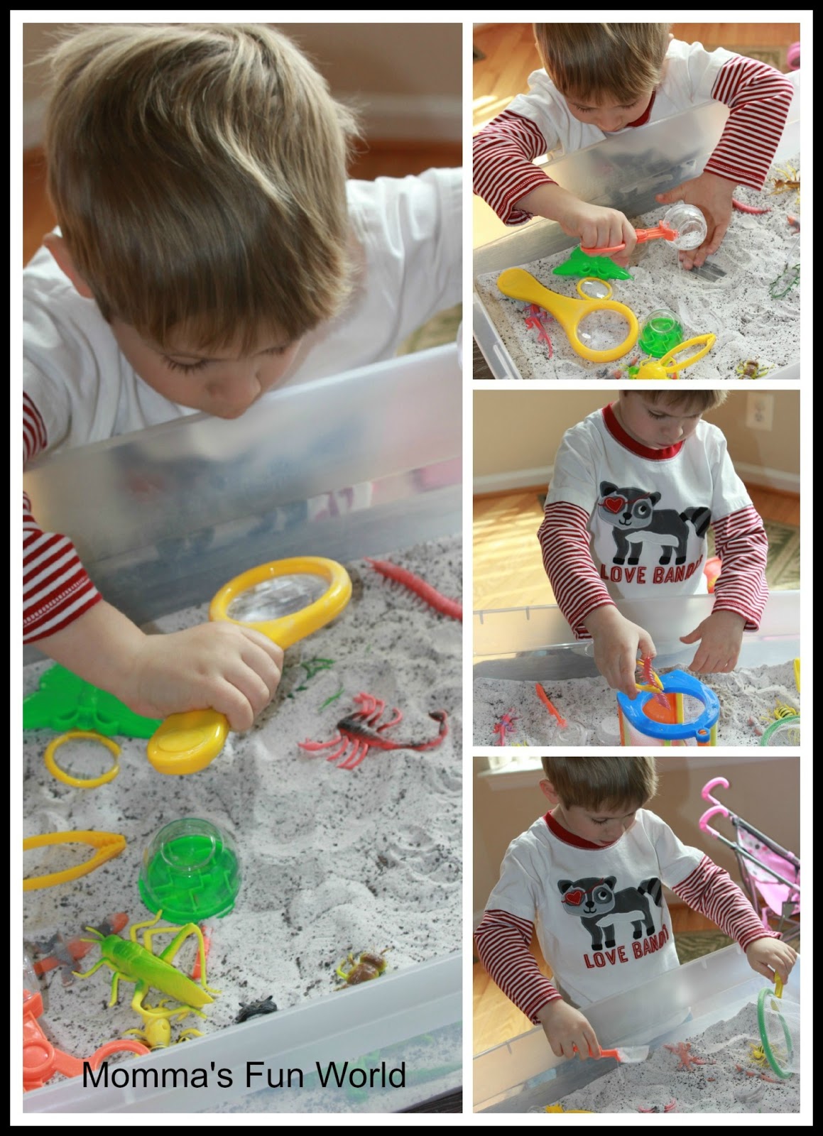 Momma's Fun World: Insect sensory bin play