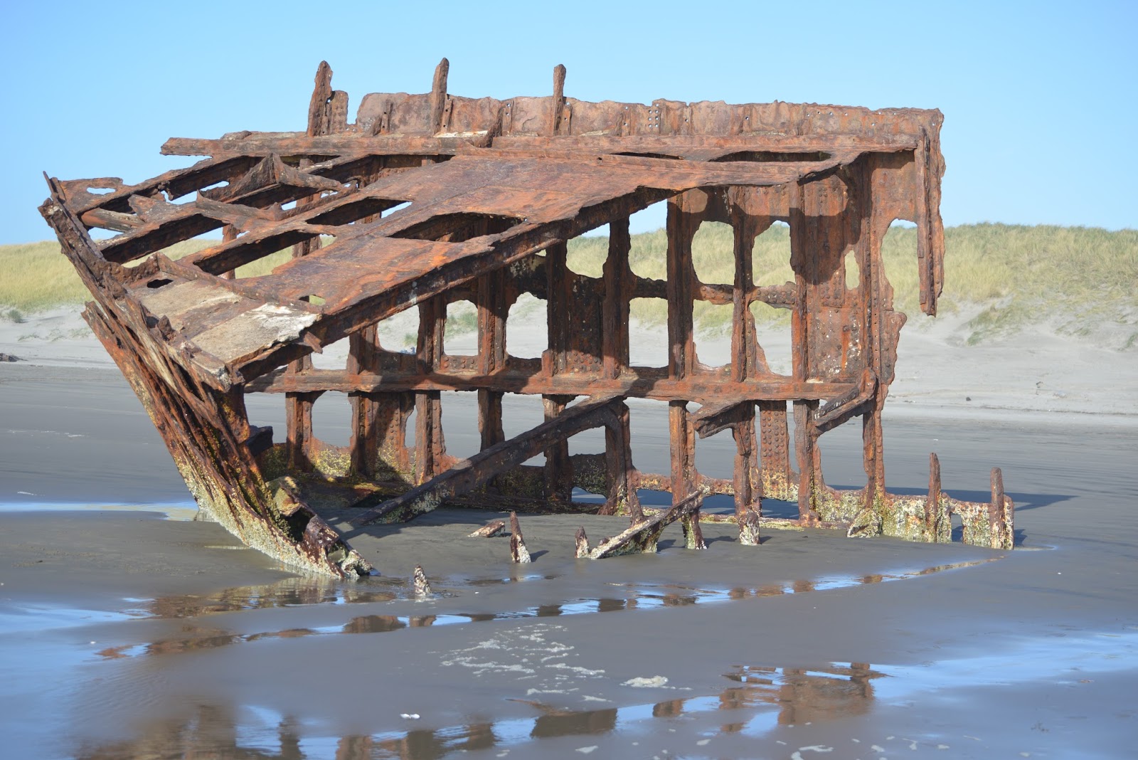 Courageous Joy: Peter Iredale Shipwreck