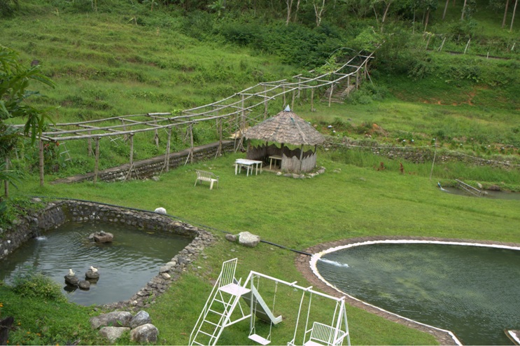 A quick stop-over at our friends' lovely hide-away with our balikbayan ...