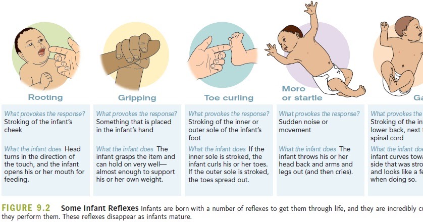 stimr.com: Infantile Reflexes