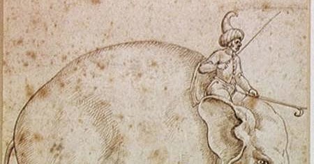 French Vocabulary Illustrated: cornac