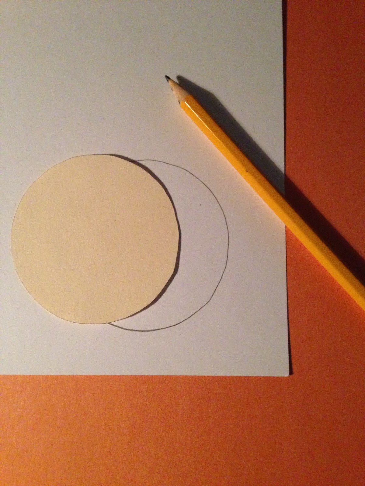 Bricolage Forest: Thaumatropes