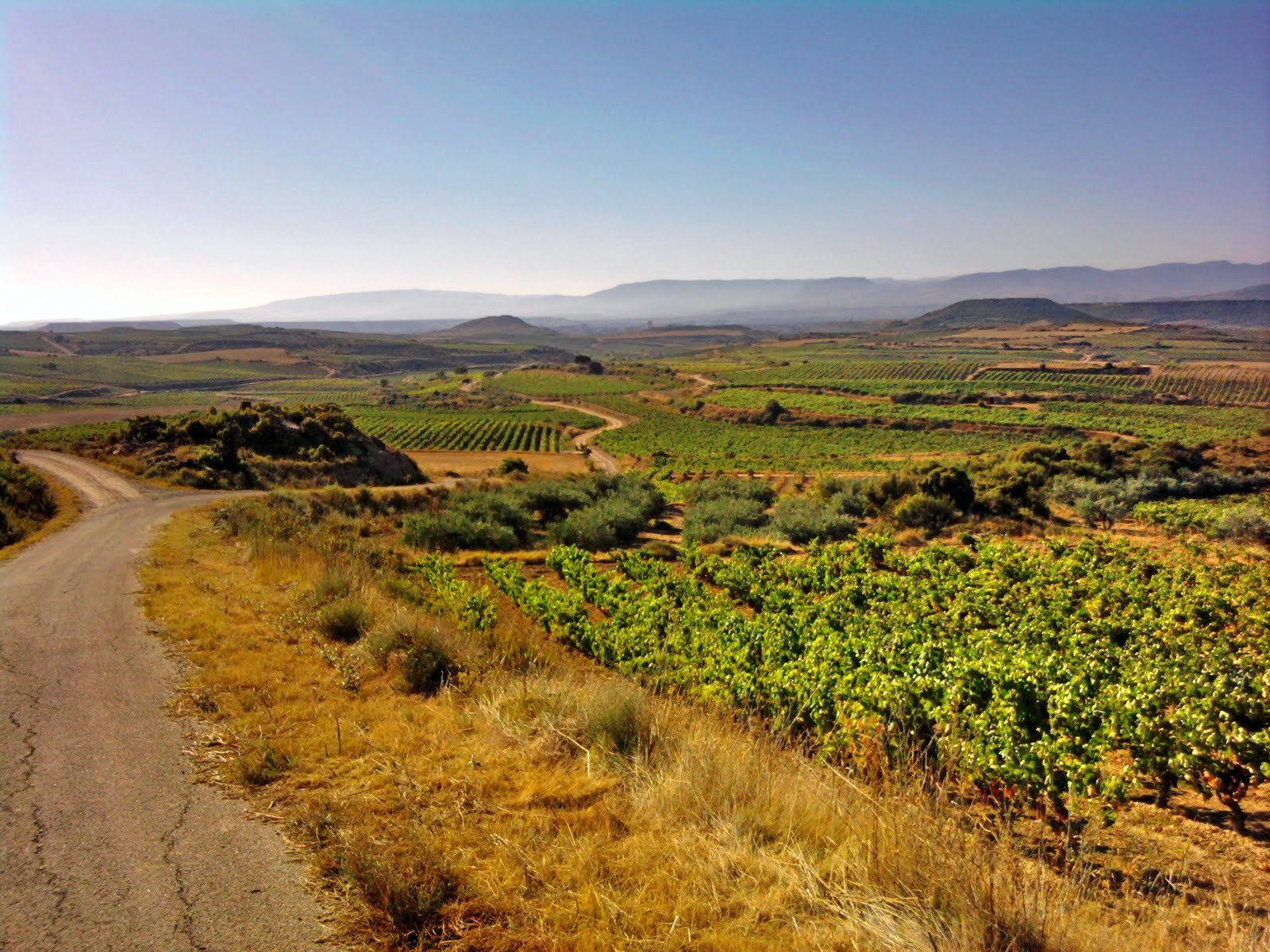 TRACKSRIOJA: Logroño-Oyon-(PR-86) Laserna- P. Mantible-Assa-Oyon ...