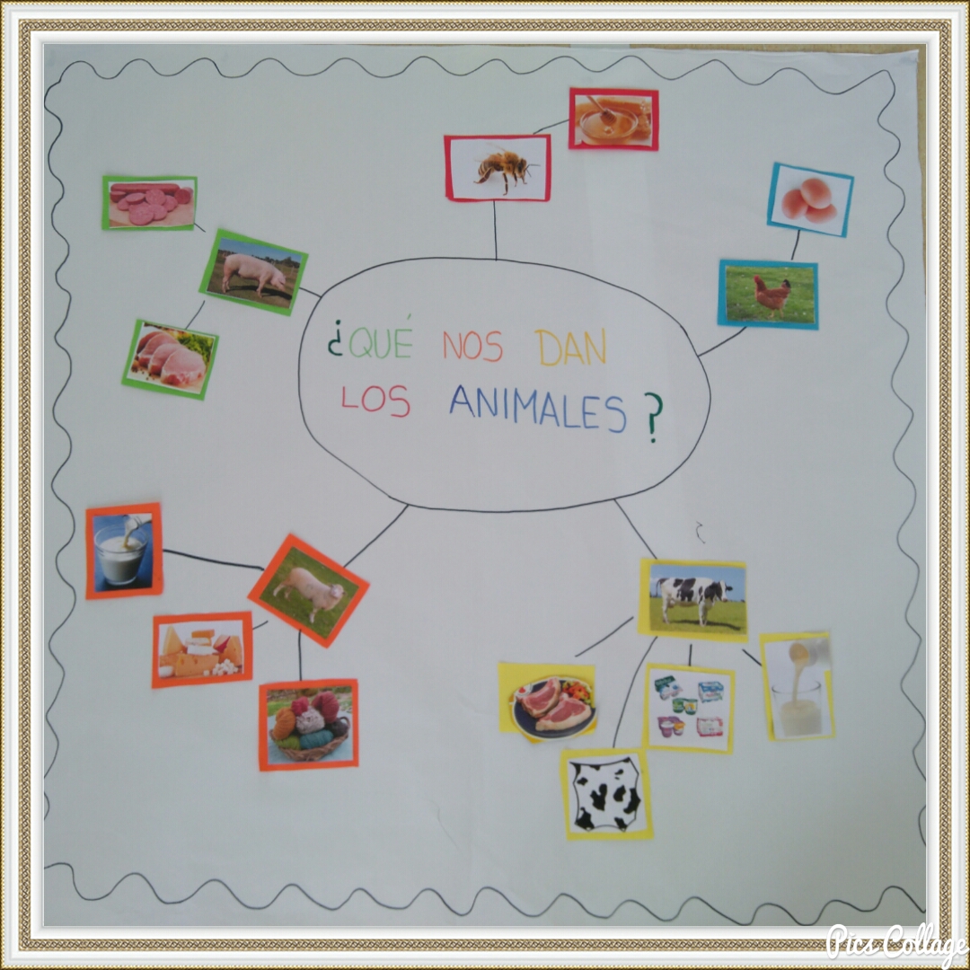 El rincón de Infantil. CPR San José: DESPEDIMOS NUESTRO PROYECTO DE LOS ...