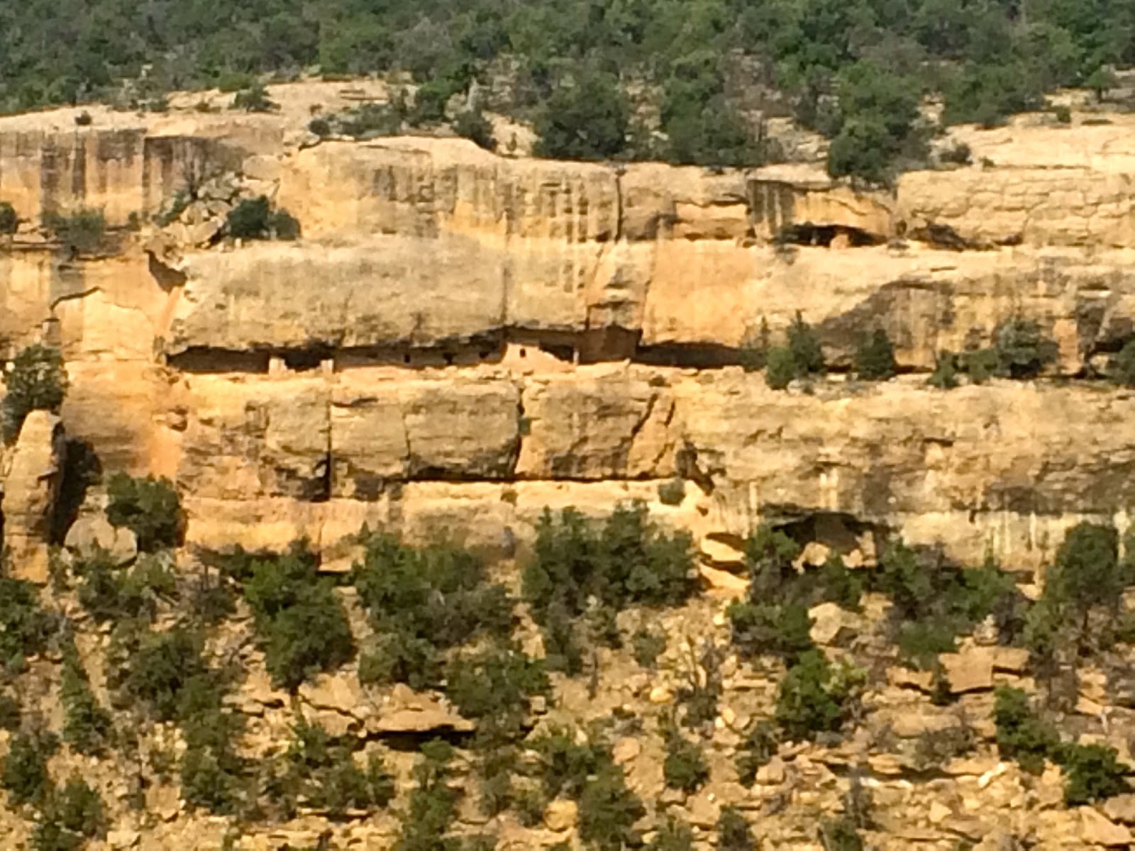 Deety Goes West: Day 11: Ladder Hikes, Ancient Indian Cliff Dwellings ...