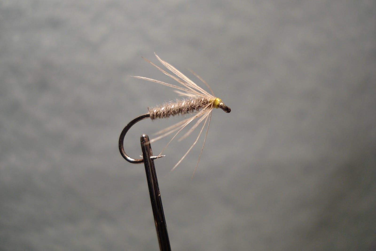 SOFT HACKLES, TIGHT LINES: Blue Dun Hackle