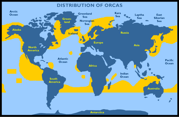 Publicaciones: LAS ORCAS Y SU CAUTIVIDAD