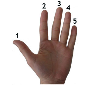 Dedos extras podem ser removidos com cirurgia plástica | Toda Comunicação