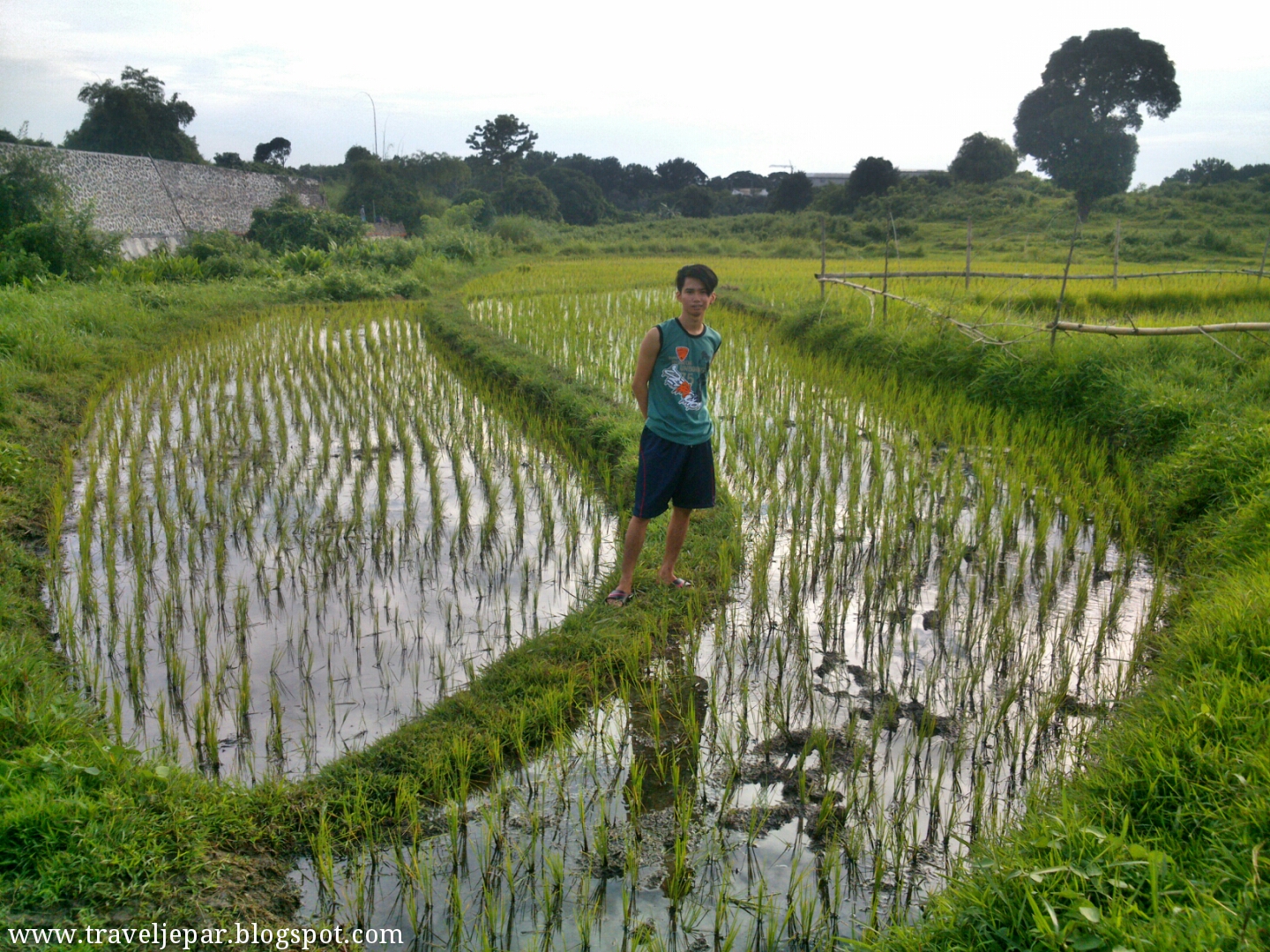 Bignay Farmland | Valenzuela City