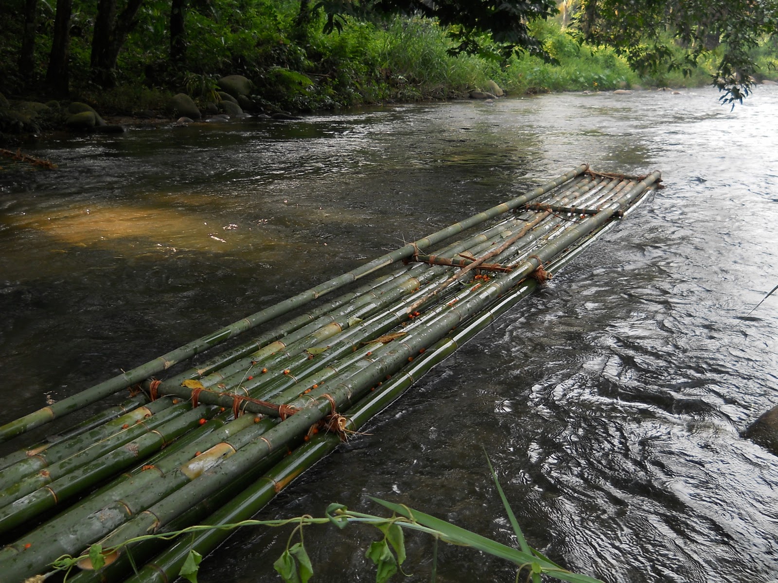 ULUHATI: Bamboo Rafting down Langat River - Quest of the bloody orchid