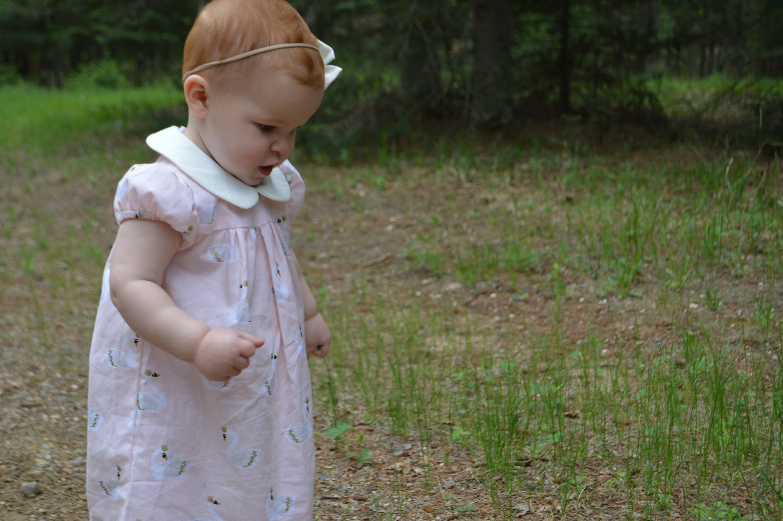 Simplicity 2461 Dress Revisited