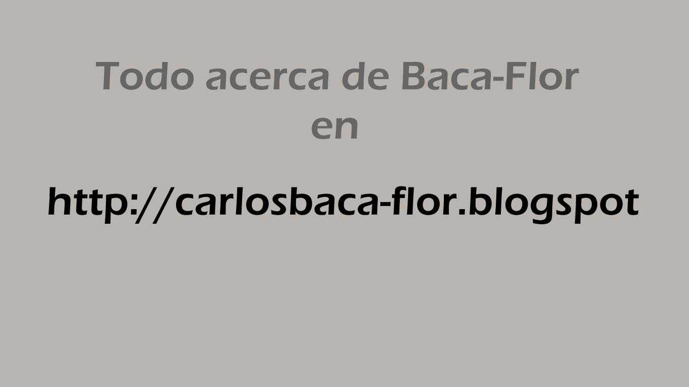 CARLOS BACA FLOR: PINTURAS REALISTAS DE BACA-FLOR