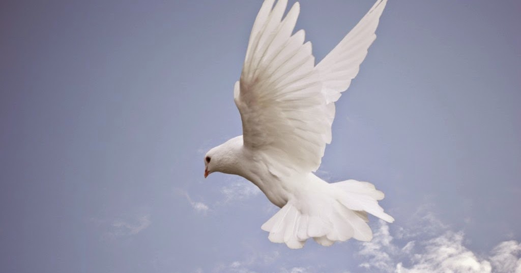 Living in the Shadow of His Hand: The Peace Craving