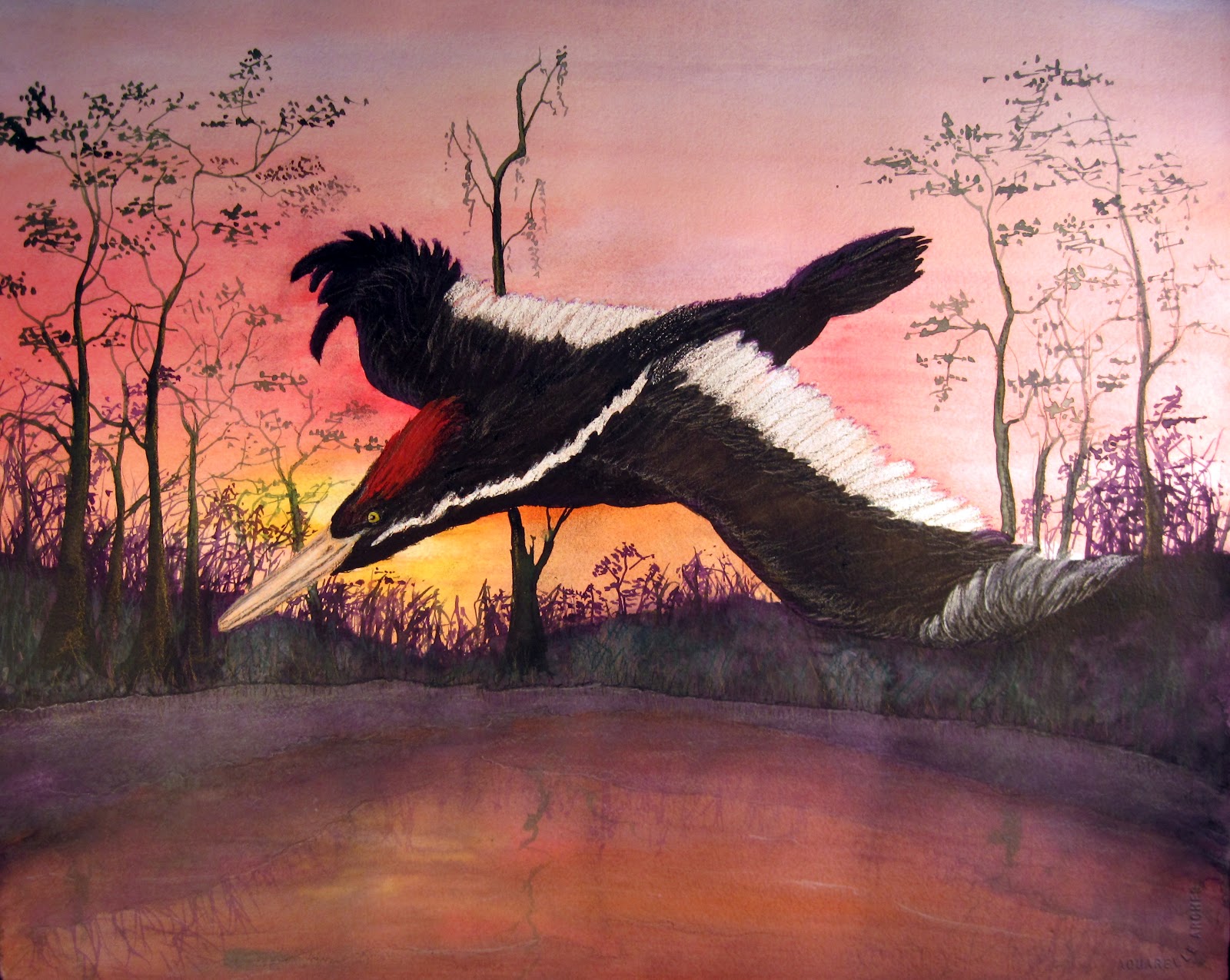 Chatham -- Real Art, Real Close*: Twilight for the Lord God Bird