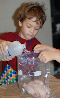 School of Monkeys: Chicken Mummy - Living History Lessons