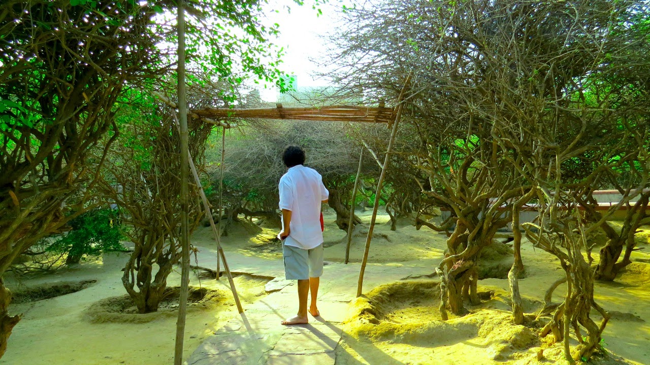 Shadow Dancing with Mind: STILL LIFE: Vrindavan - where Krishna's love ...