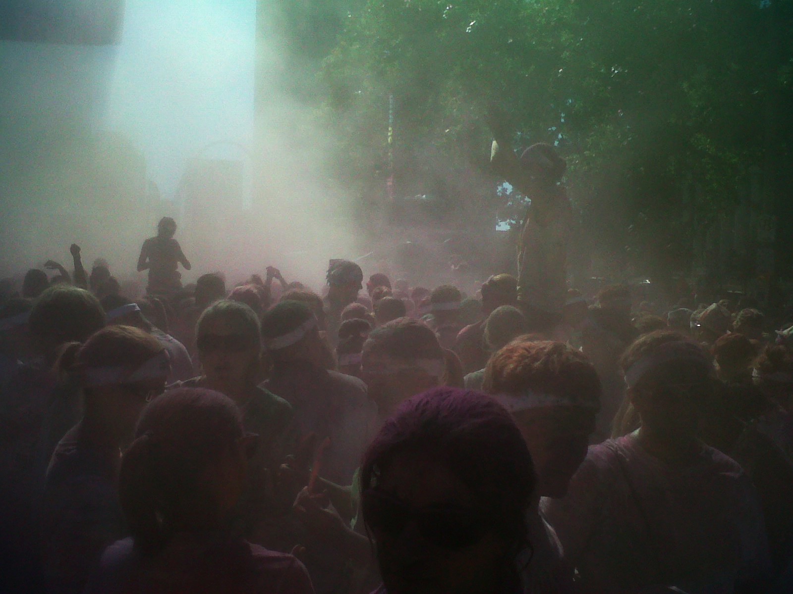 Hello, Wild Things: Color Run St. Louis