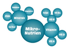 Mikronutrien yang Dibutuhkan oleh Ibu Menyusui