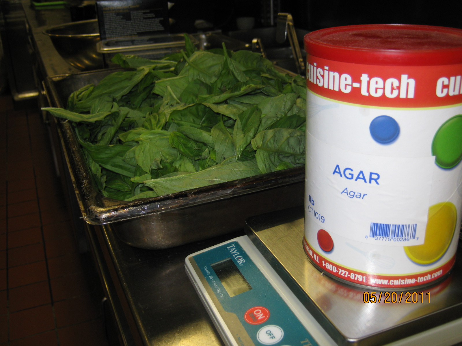 J. Gilbert's 826 Test Kitchen/Chef's Tasting Log: Basil Gelee