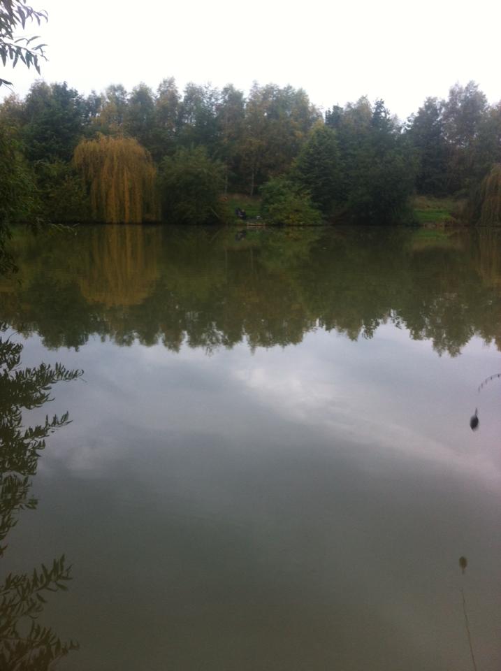 UK fishing venues: Raker Lakes (Highbank Lake) - Venue Review