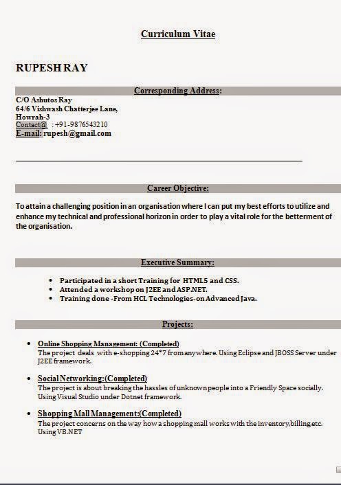 interesting resume templates - Resume