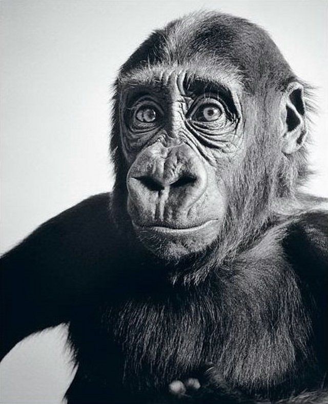 High Resolution Pictures, Nice Pictures, Best Scienaries, Different ...