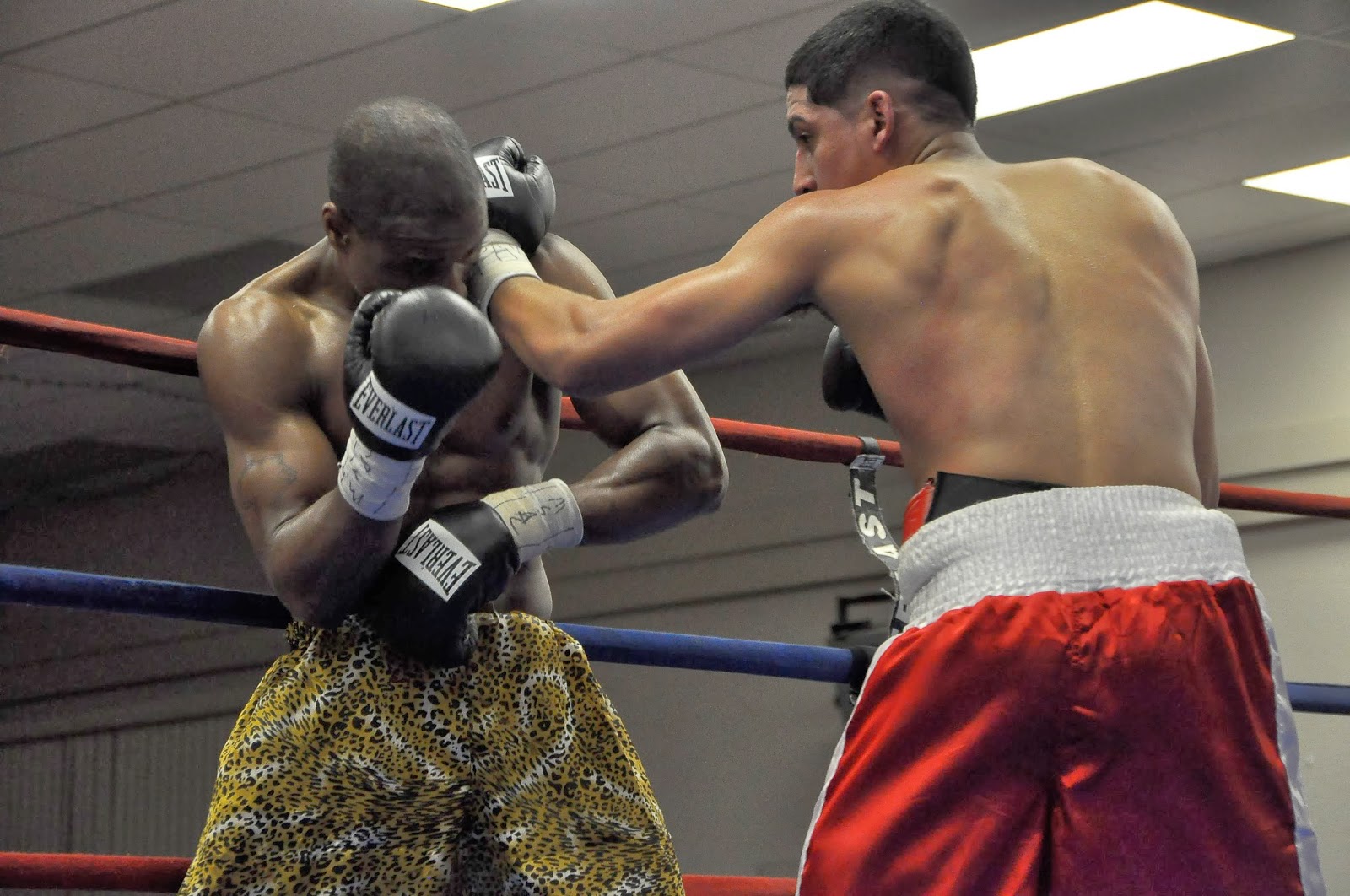 Boxing Along The Beltway: Chinea Wins By TKO Stoppage Over Olinga in Fourth!