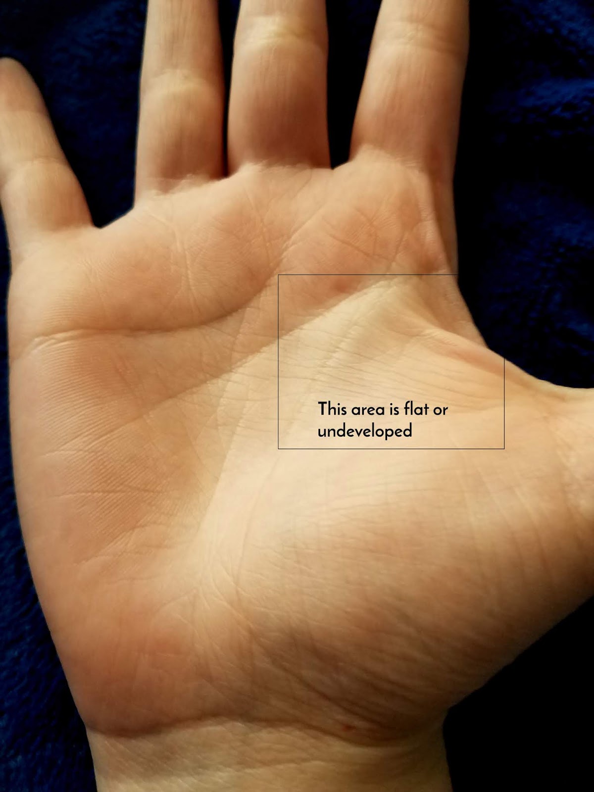 Female Flat Mount of Positive Mars Palmistry ~ INDIAN PALMISTRY | PALM ...