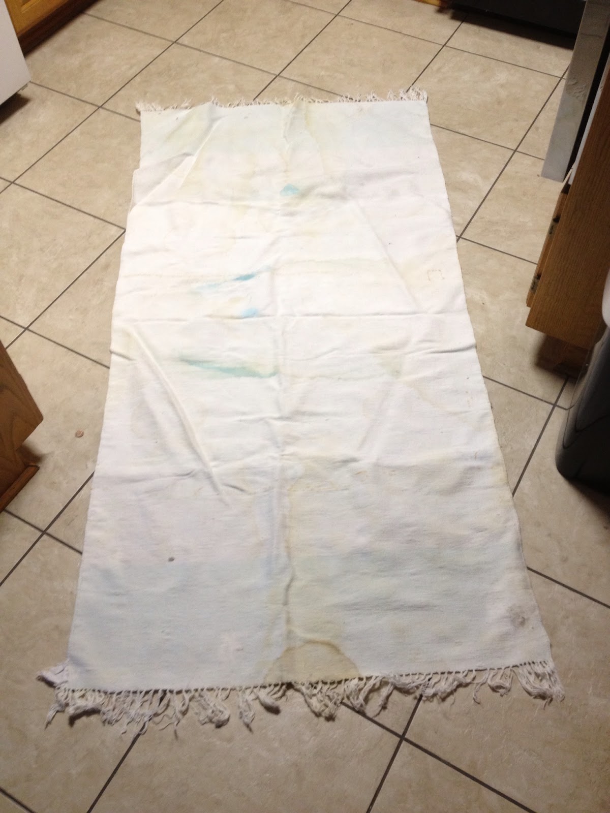 A House 2 Home: DIY Painted Rug