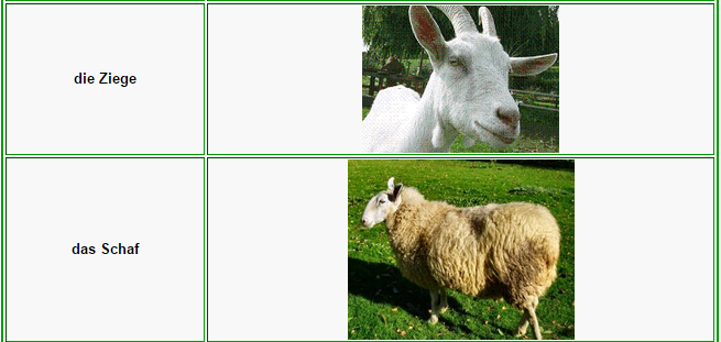 German Vocabulary - Animals « L E A R N G E R M A N