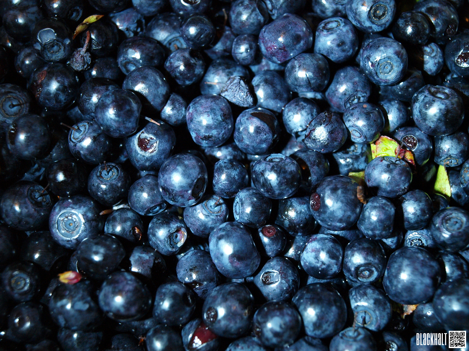 jūlijs 2011 - PhotoBlogSite