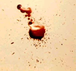 2011 CSI: blood spatter!