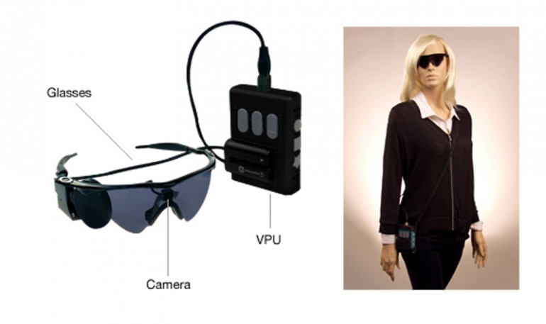 DEGENERACION MACULAR : ARGUS II