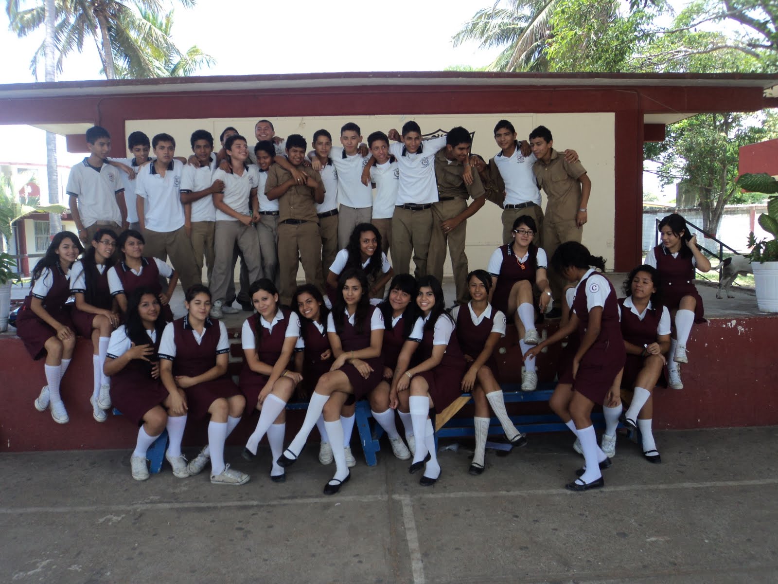 SECUNDARIA 3 MATEMATICAS: LA MATEMATICA