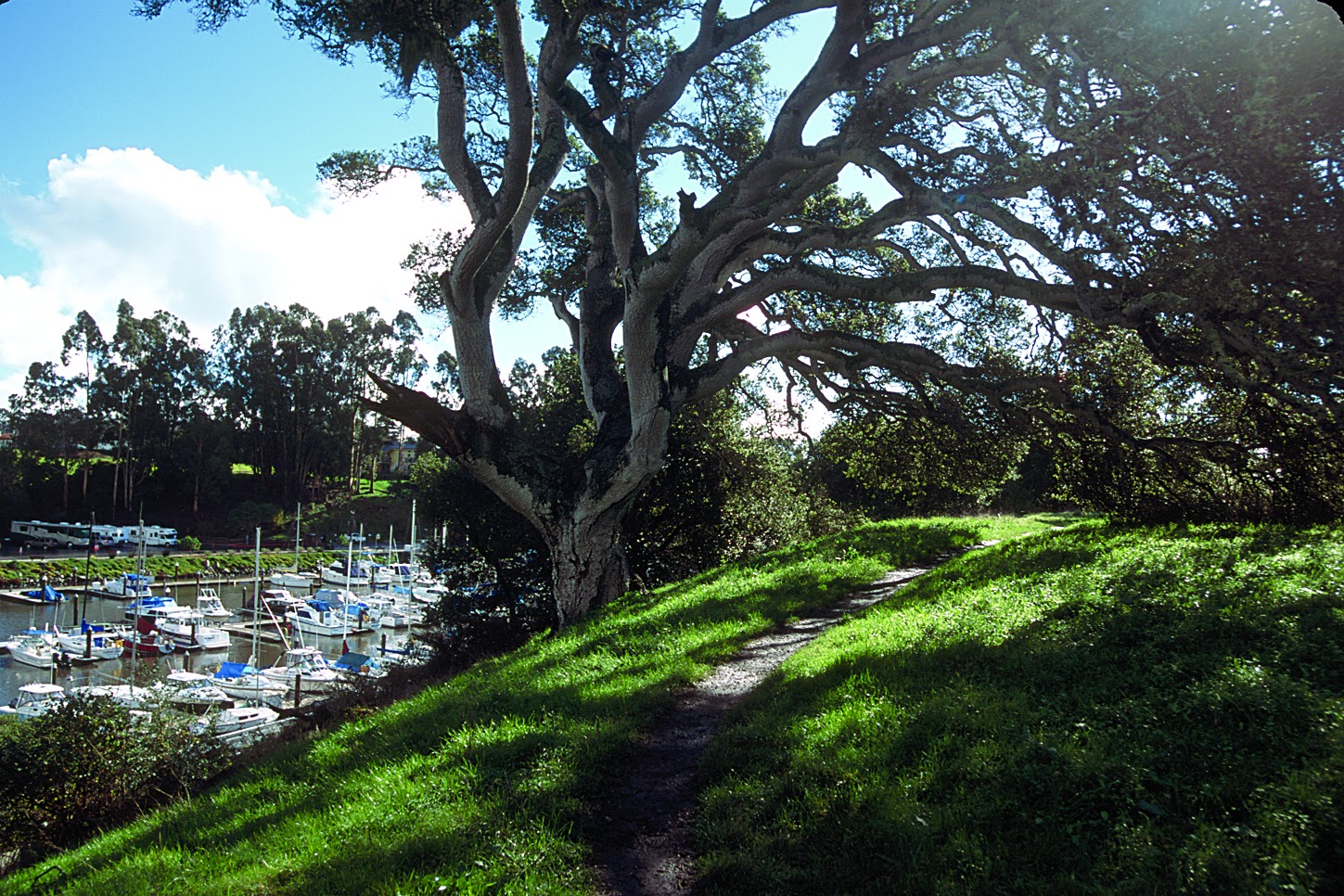 Arana Gulch Multi-Use Trail Project: Trail Access