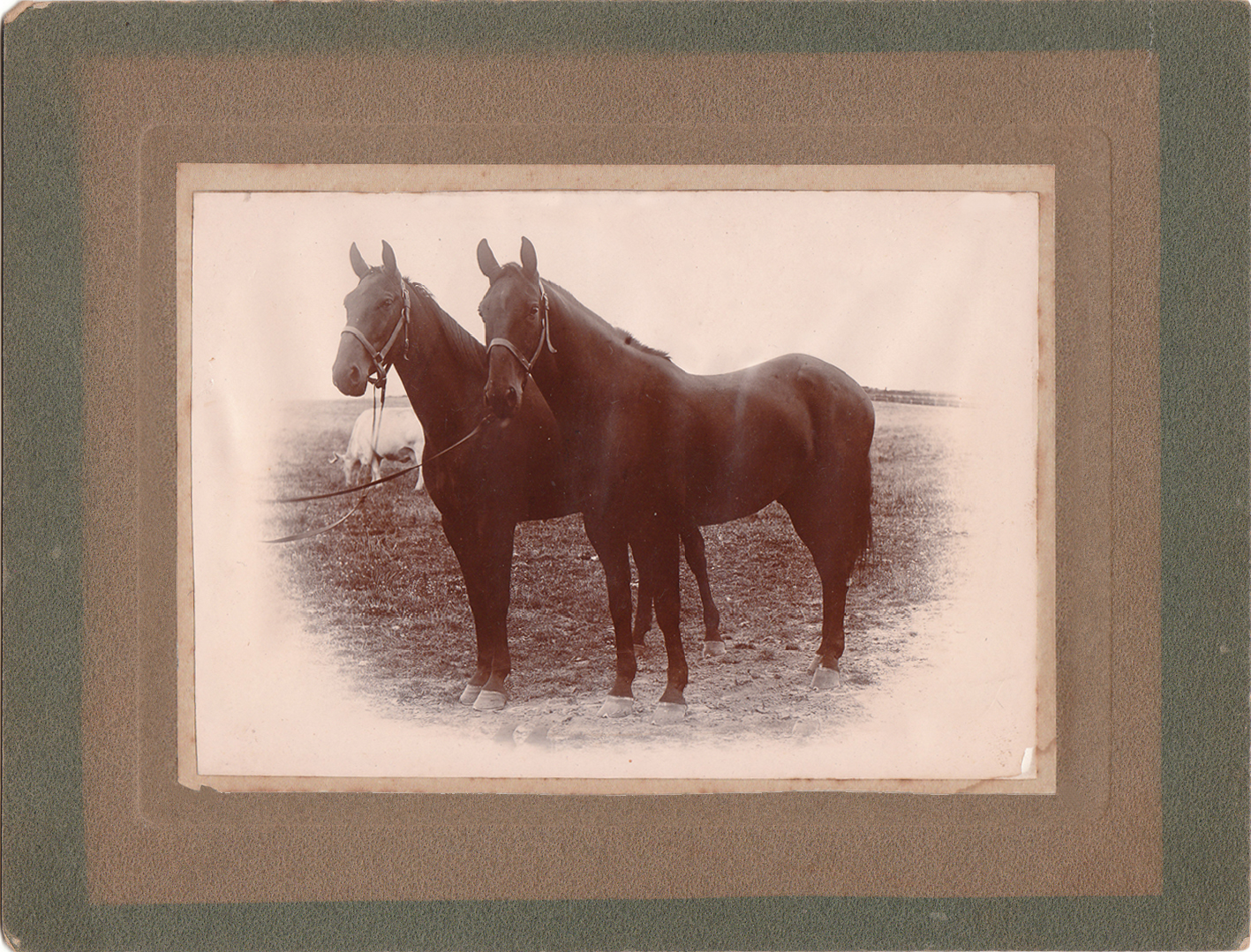 Old Canterbury: Compstall