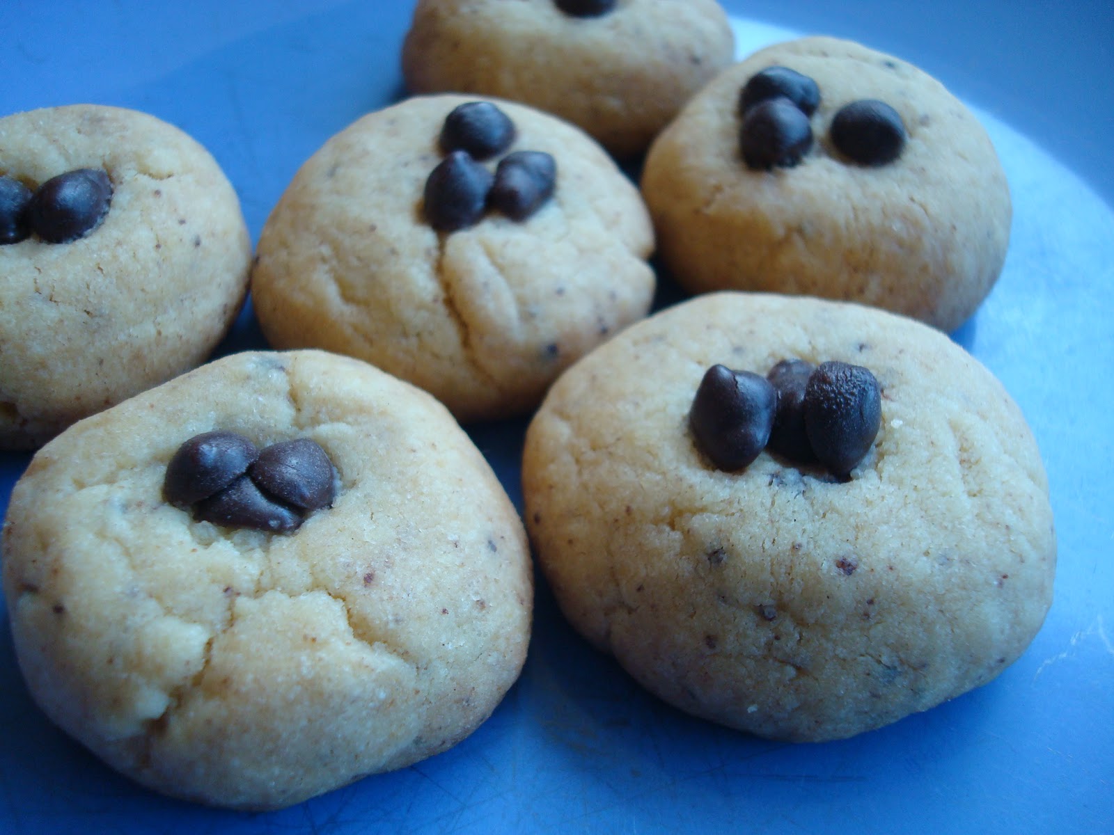 Journey through the cookbook: Chocolate Button Biscuits